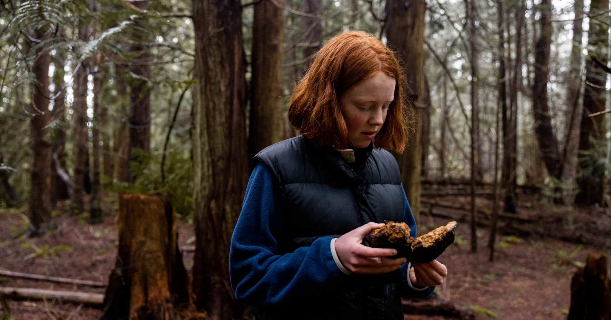 Mother Trees and mycorrhizal fungi on Pender Island | Raincoast