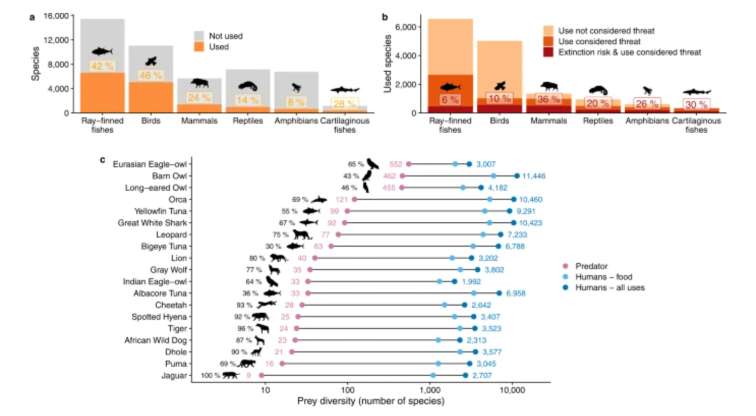 A ‘supersized’ ecological niche for humans | Raincoast