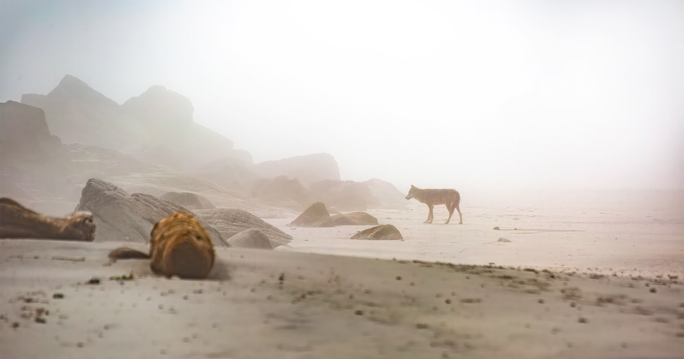 Tracking Raincoast into 2024 | Raincoast