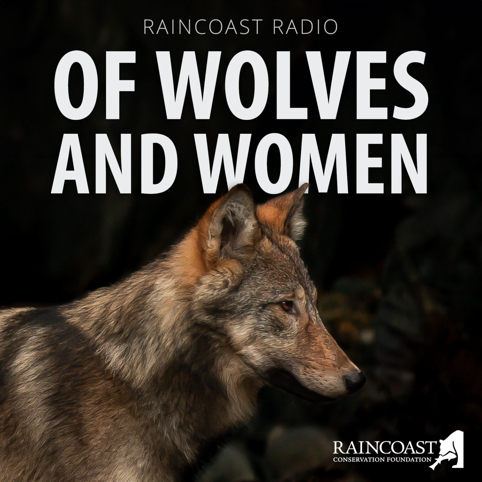 Of wolves and women: season one of Raincoast Radio | Raincoast